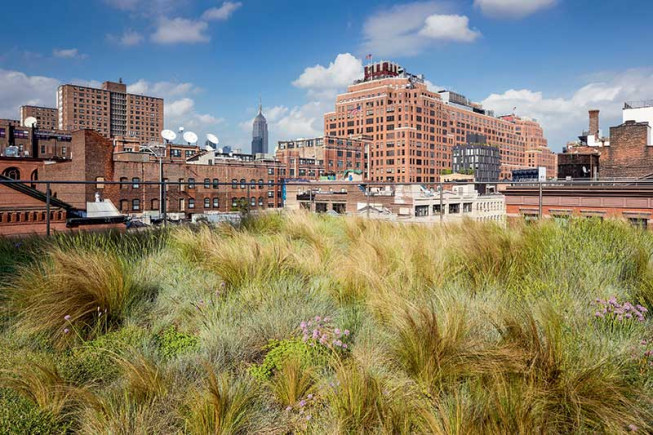 Louis Benech : L'architecte paysagiste qui transforme les jardins en ...